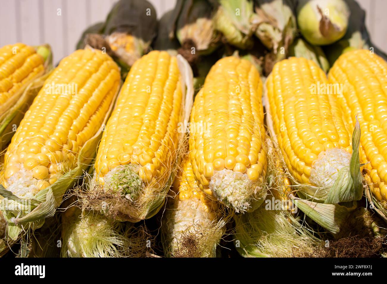 Pile dried sweet corn hi-res stock photography and images - Alamy