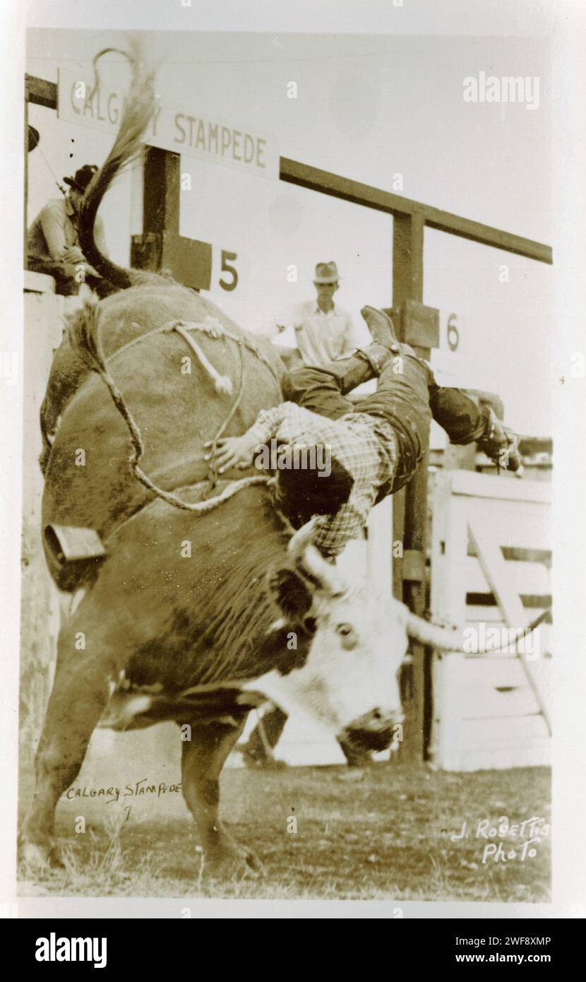 Historique calgary stampede hi-res stock photography and images - Alamy