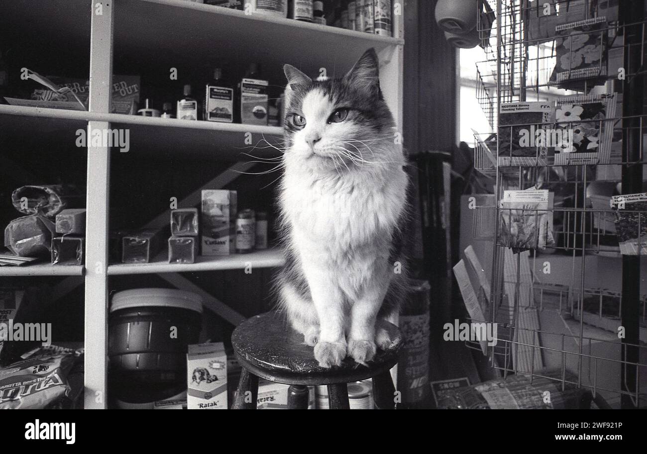 Pet shop interior england uk hi-res stock photography and images - Alamy