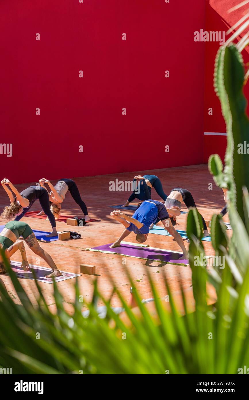 Group people practicing yoga hi-res stock photography and images - Alamy