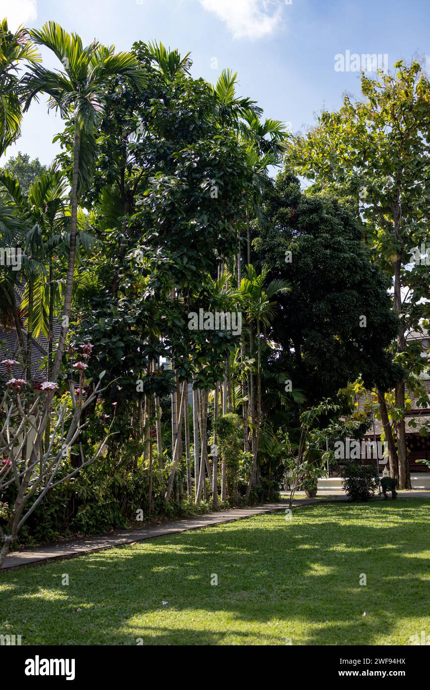 Thriving greenery hi-res stock photography and images - Alamy