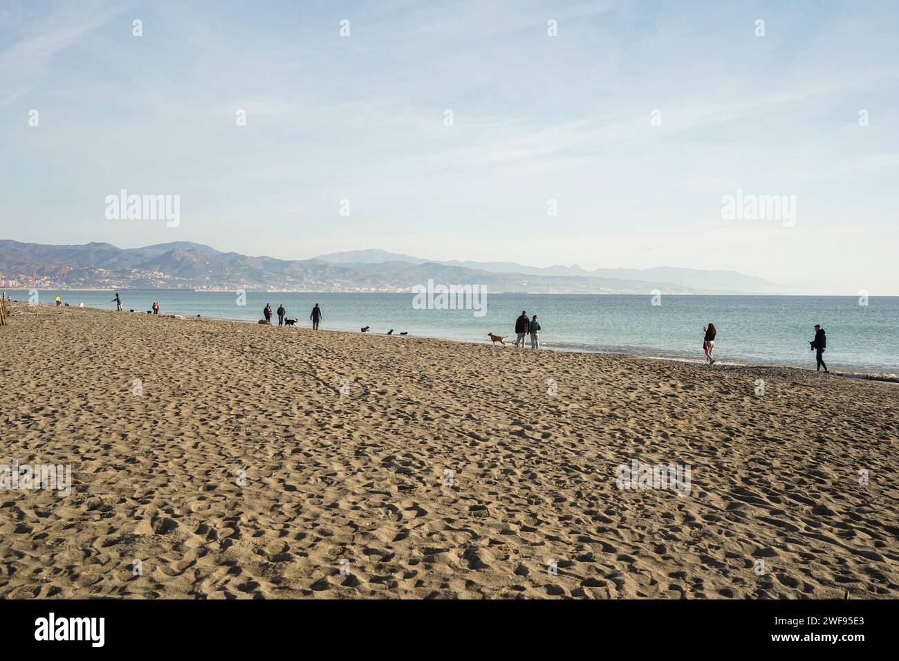People on beach with dog hi-res stock photography and images - Alamy