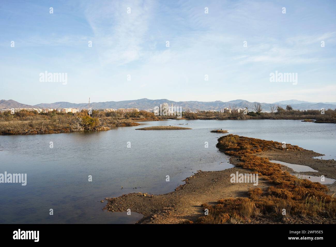 Natural Lagoons of Natural Park Guadalhorce estuary nature reserve ...