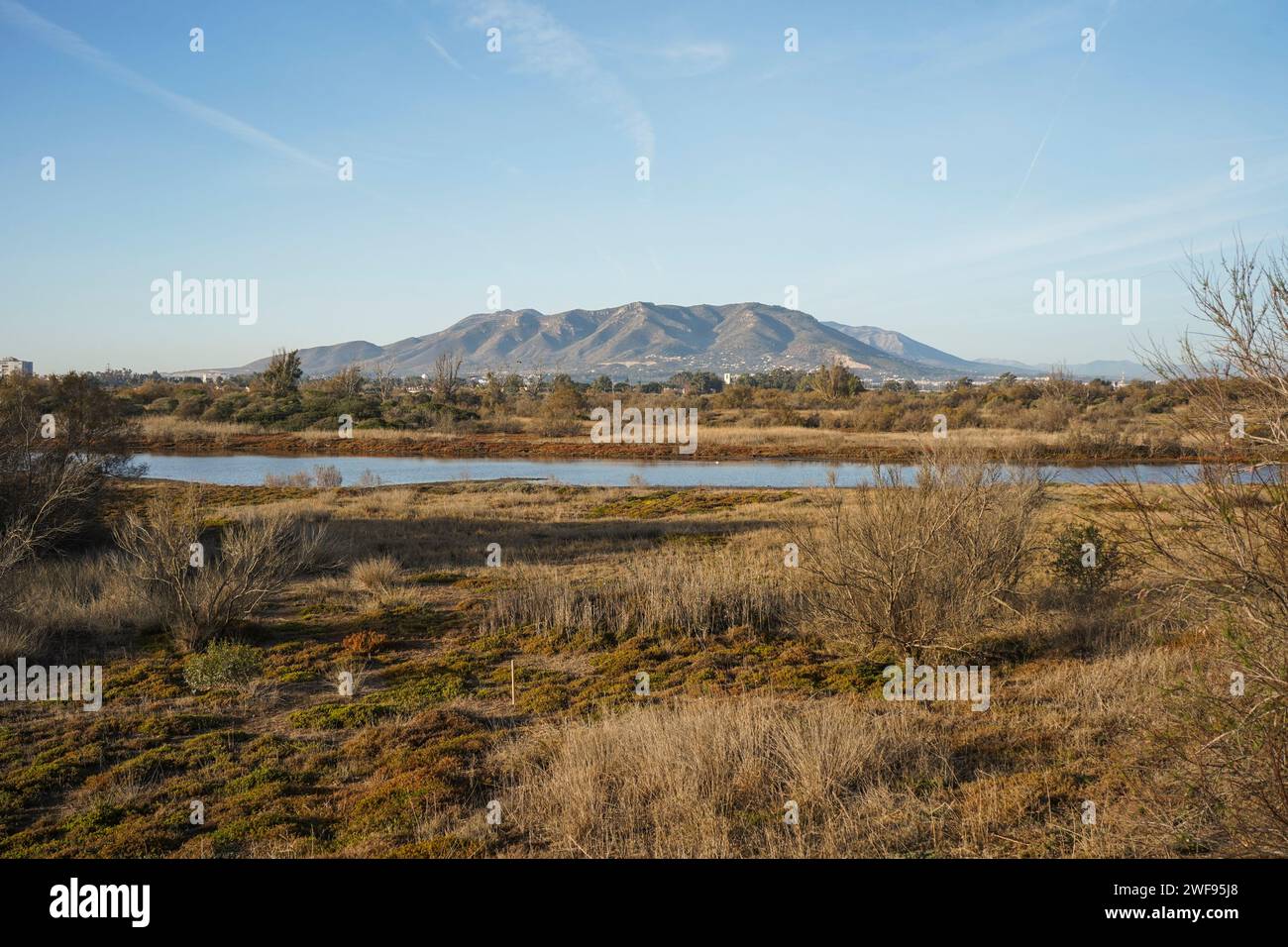 Natural Lagoons of Natural Park Guadalhorce estuary nature reserve ...