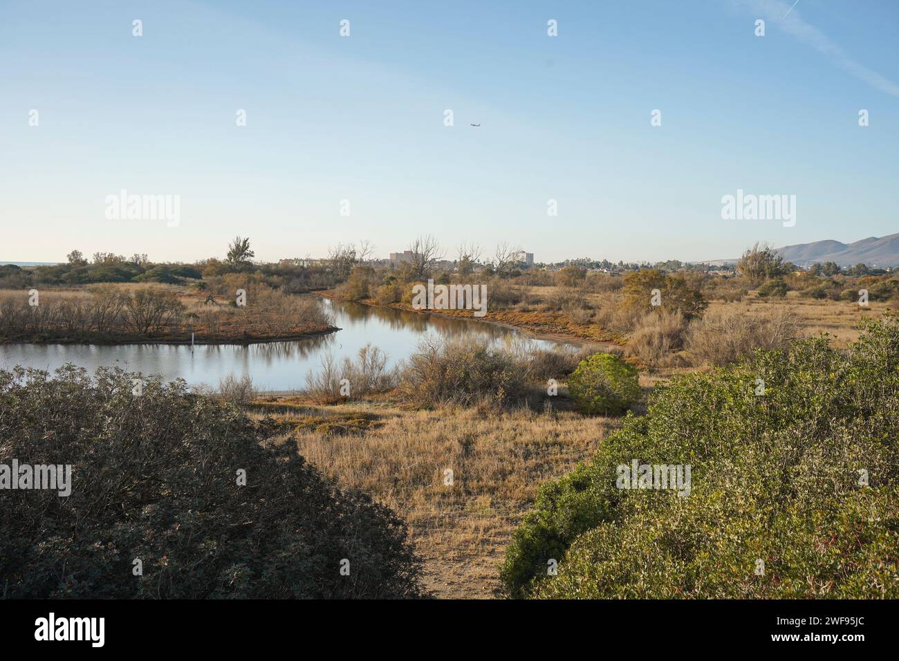 Natural Lagoons of Natural Park Guadalhorce estuary nature reserve ...