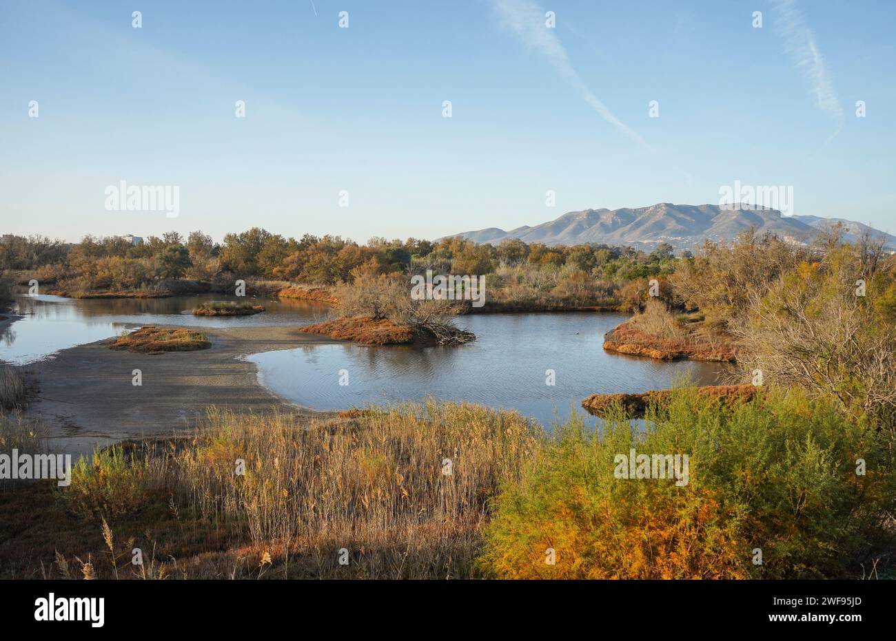 Natural Lagoons of Natural Park Guadalhorce estuary nature reserve ...