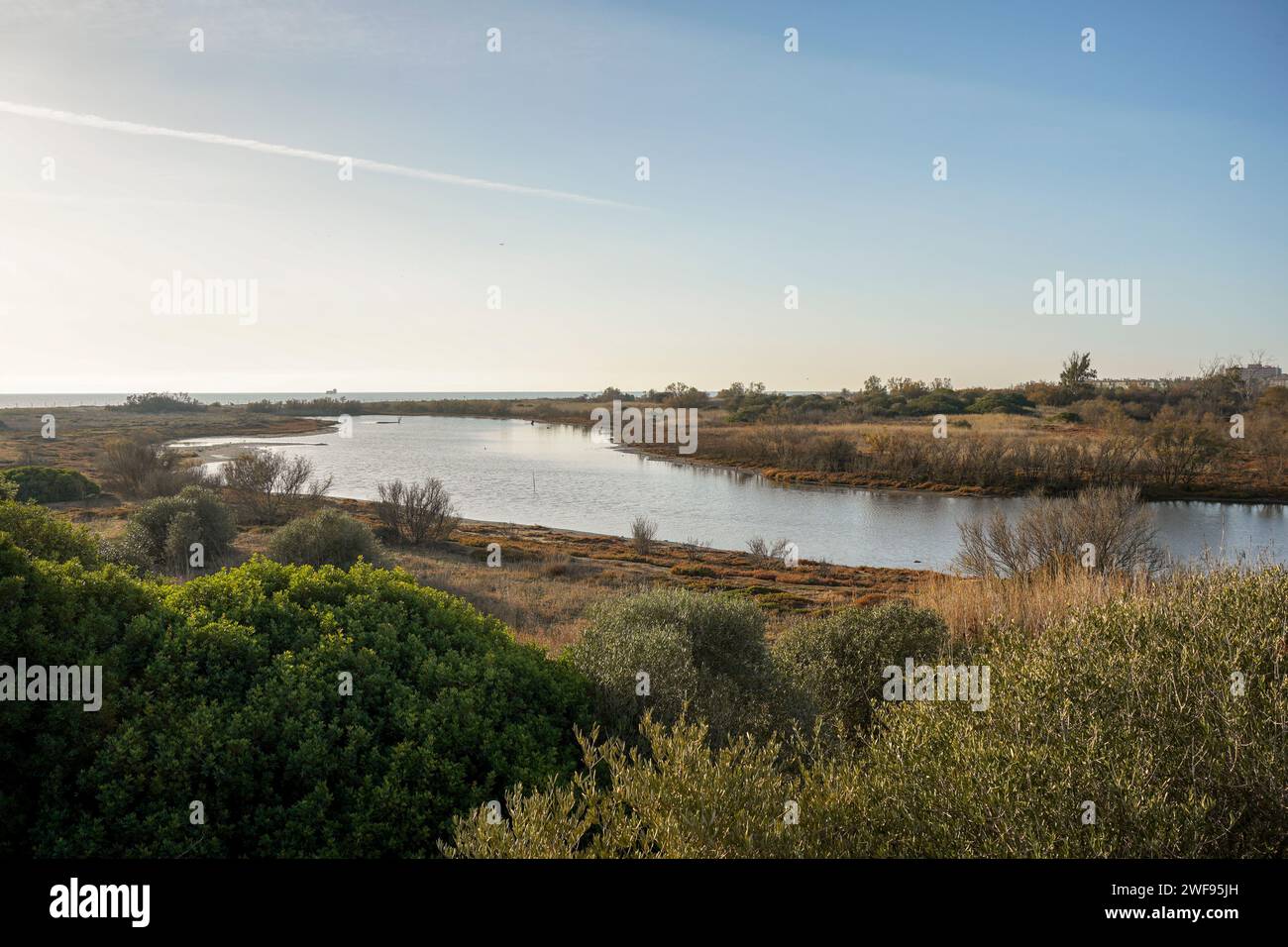 Natural Lagoons of Natural Park Guadalhorce estuary nature reserve ...
