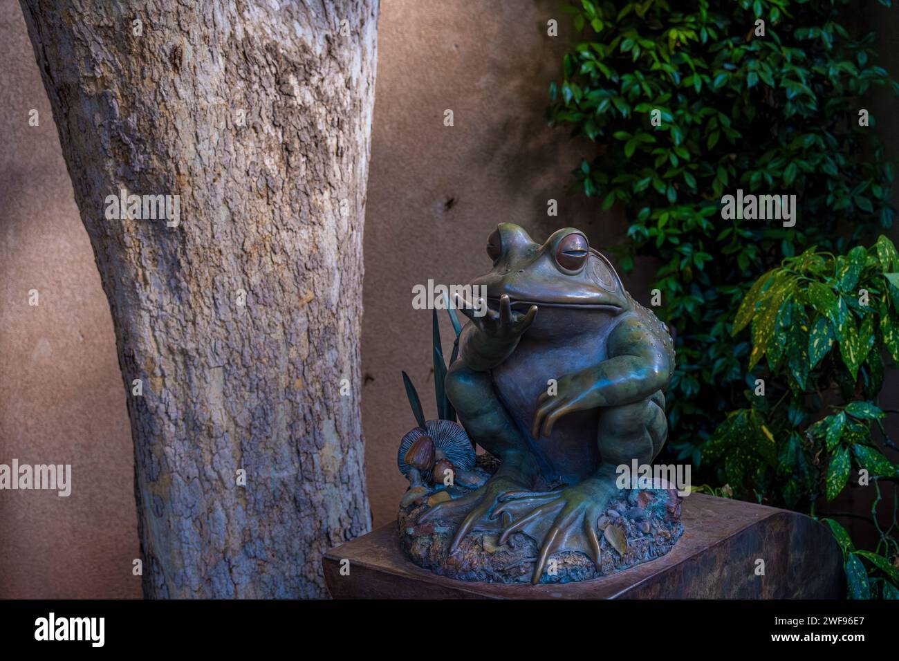 Closeup shot statue frog hi-res stock photography and images - Alamy