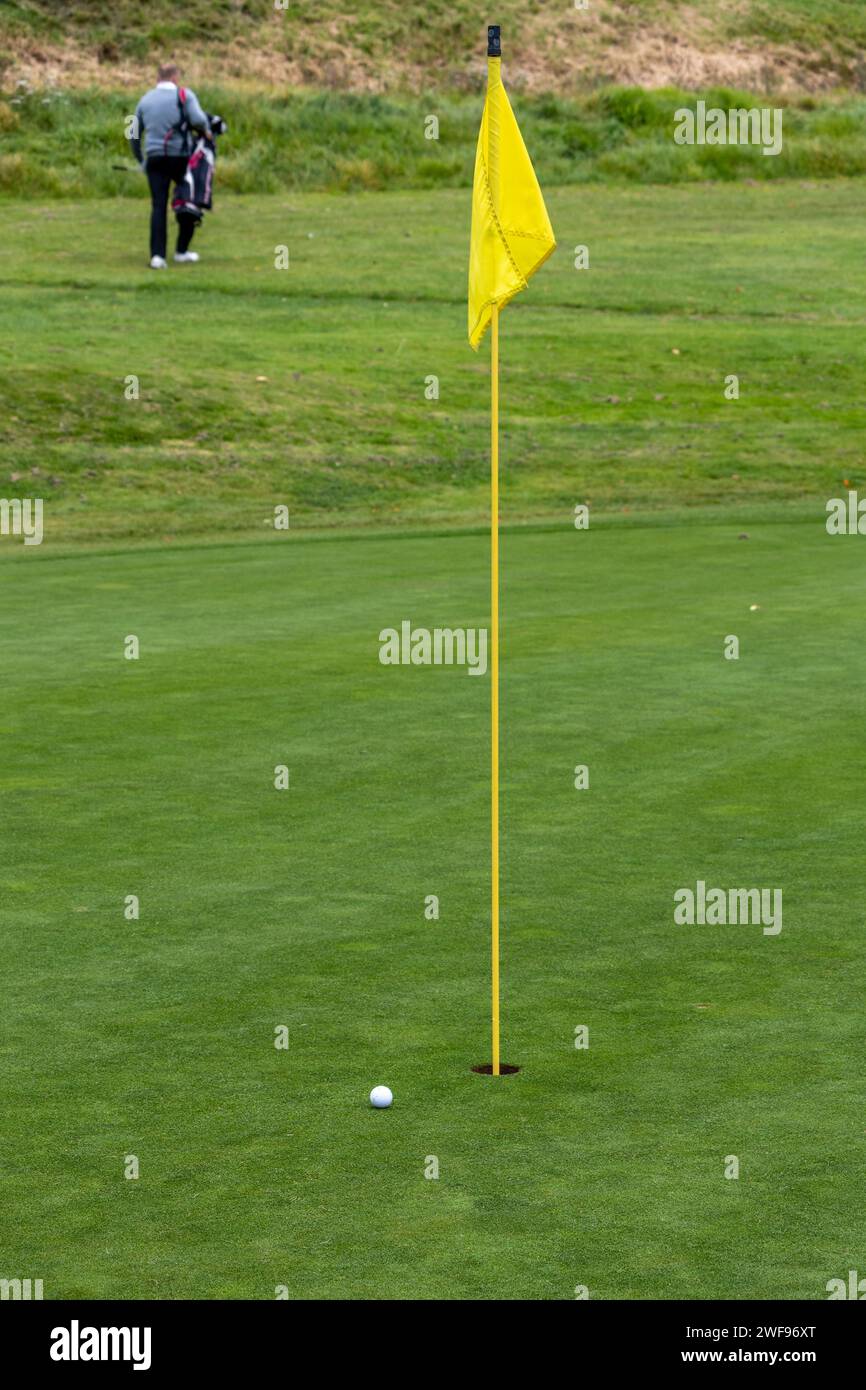 Golf ball almost made hole in one and lying next to flag. A golfer is ...