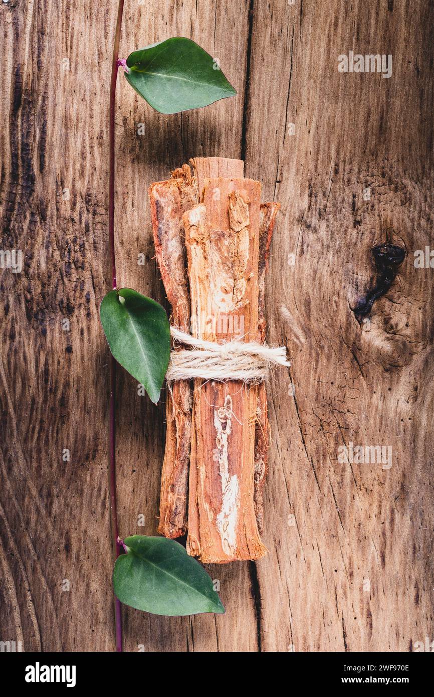 Plant of Amazonian origin, traditional medicine Cat's Claw Stock Photo ...