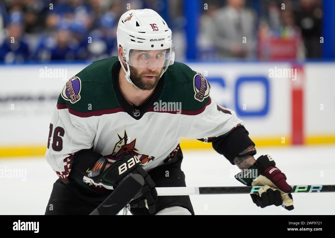 Arizona Coyotes left wing Jason Zucker (16) against the Tampa Bay ...