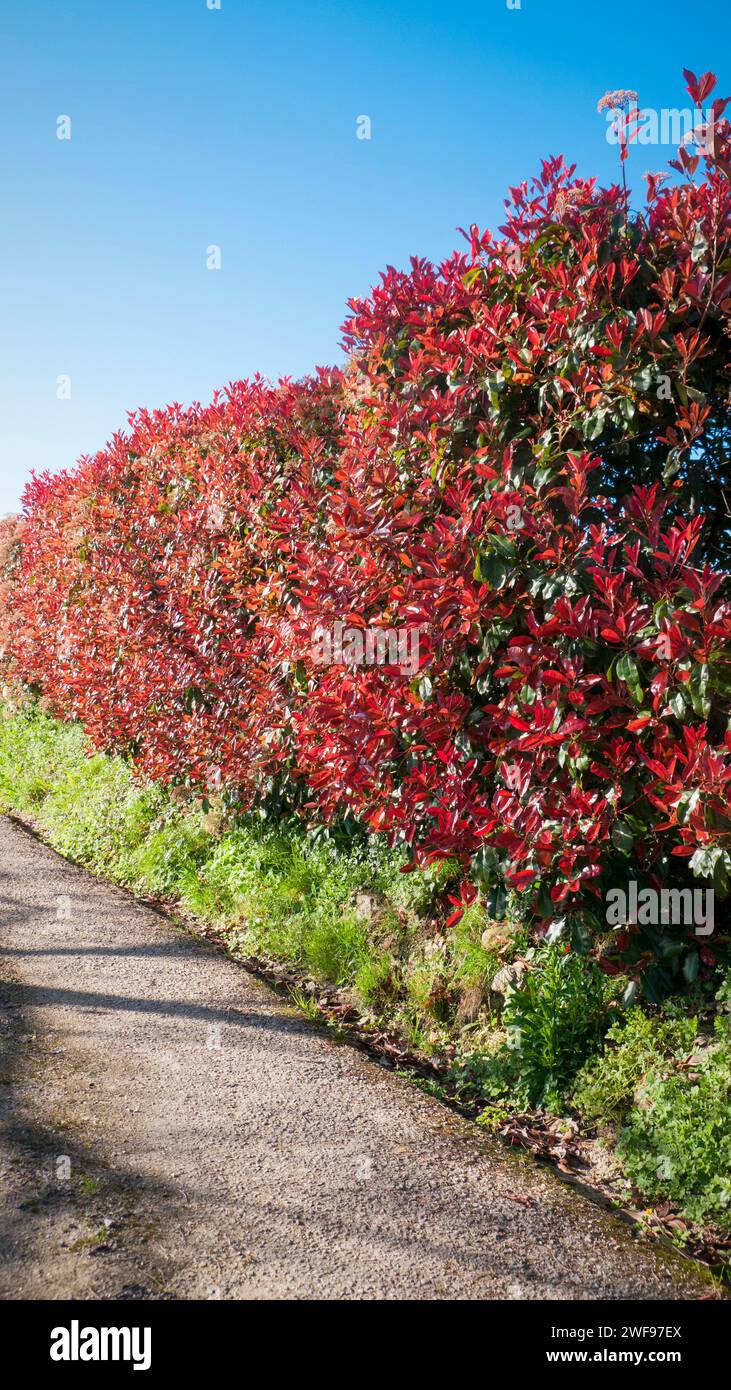 Garden perimeter hi-res stock photography and images - Alamy