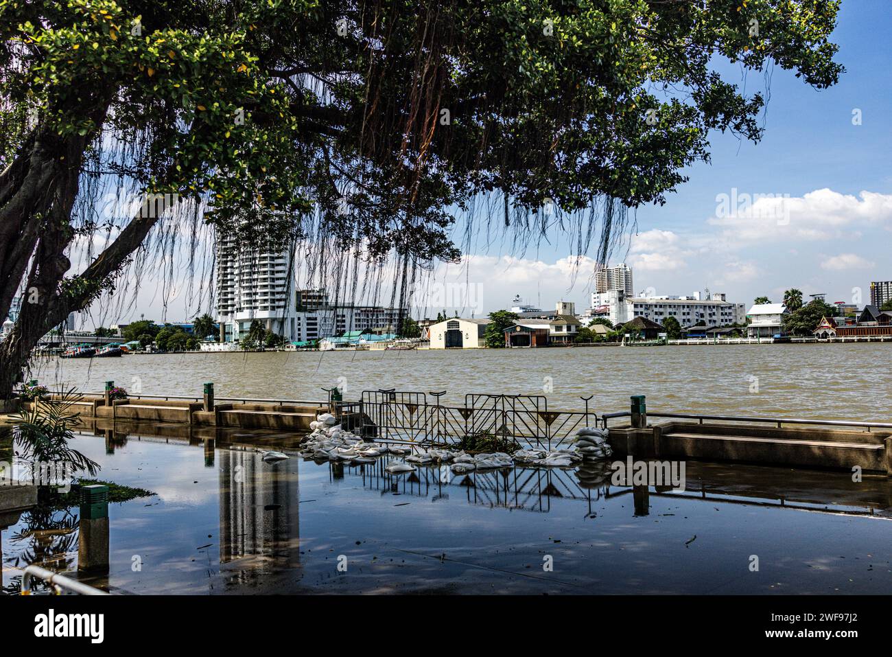 A calm body of water surrounded by a mix of lush trees and majestic ...