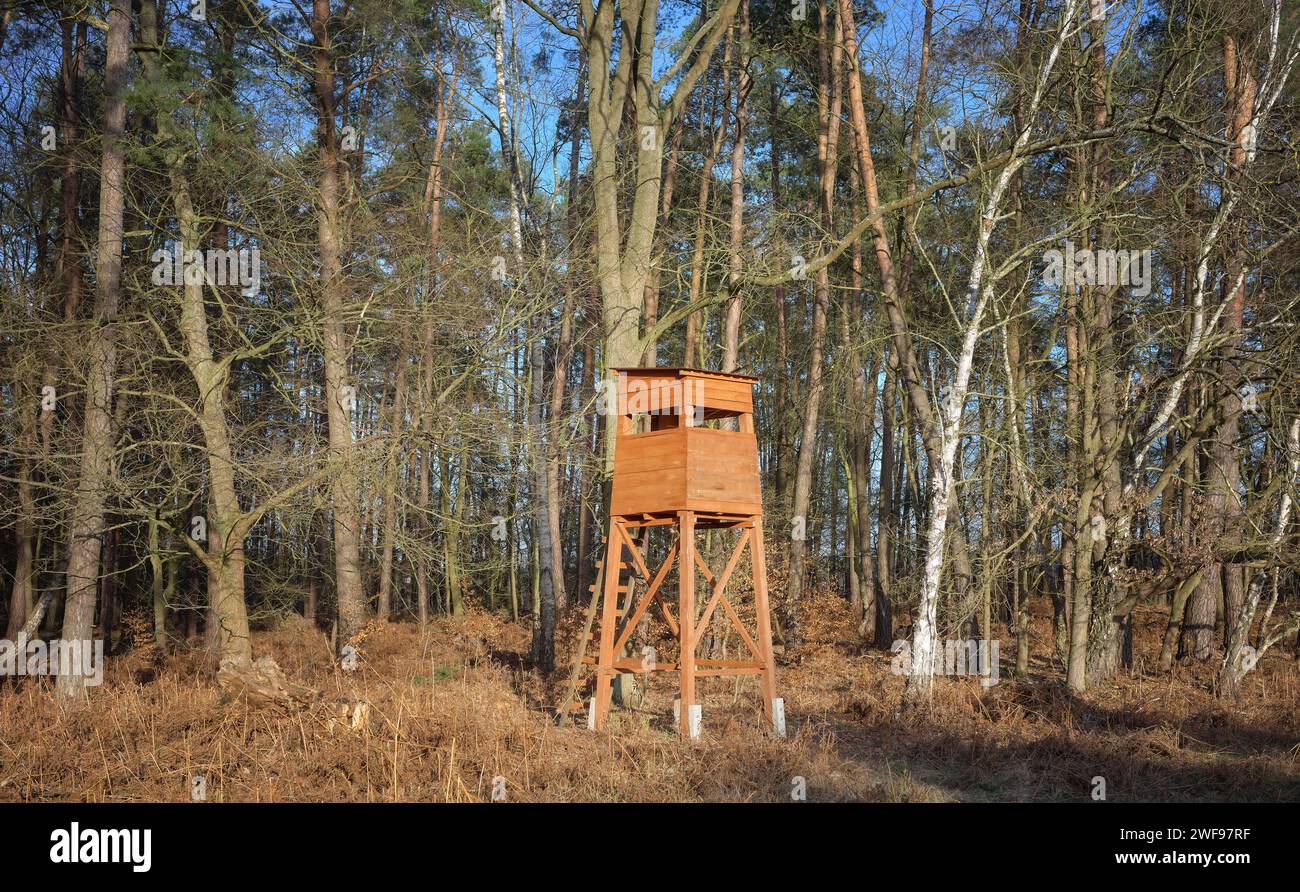 Photo of a deer hunting tower at the edge of the forest Stock Photo - Alamy