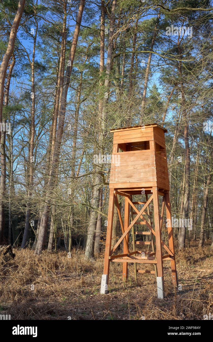 Photo of a deer hunting tower at the edge of the forest Stock Photo - Alamy
