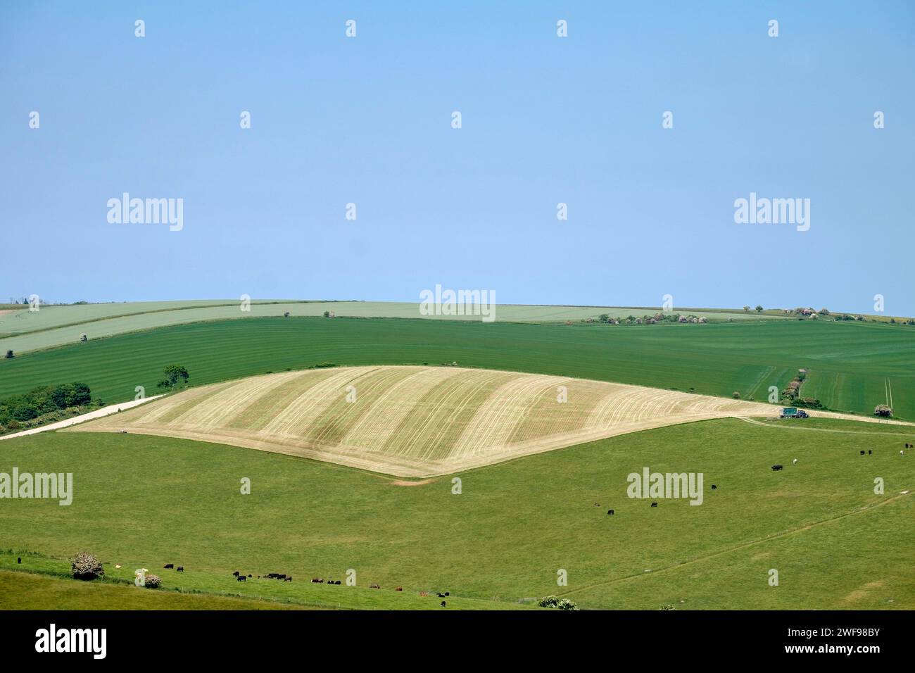 Farmed fields hi-res stock photography and images - Alamy