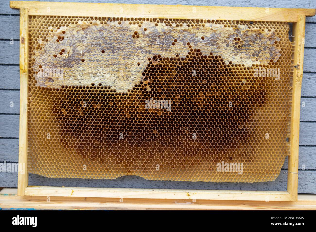 Frame of a beehive hi-res stock photography and images - Alamy