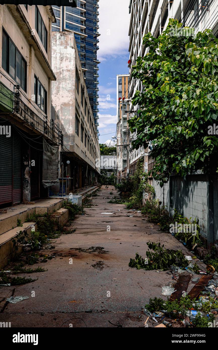 This image captures a deserted, overgrown street flanked by dilapidated ...