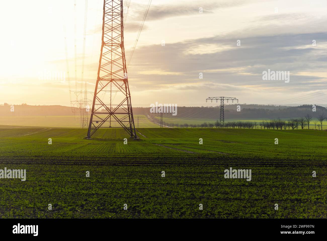 Scenic view of electricity pylons stretching across green fields warm ...
