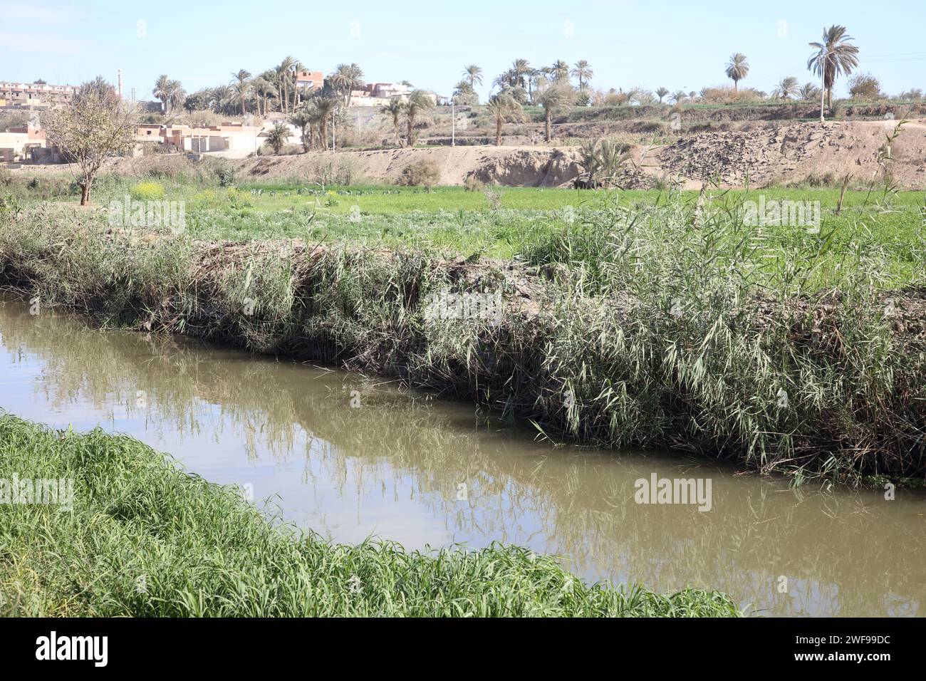 stream, water, plantations in a village Stock Photo - Alamy