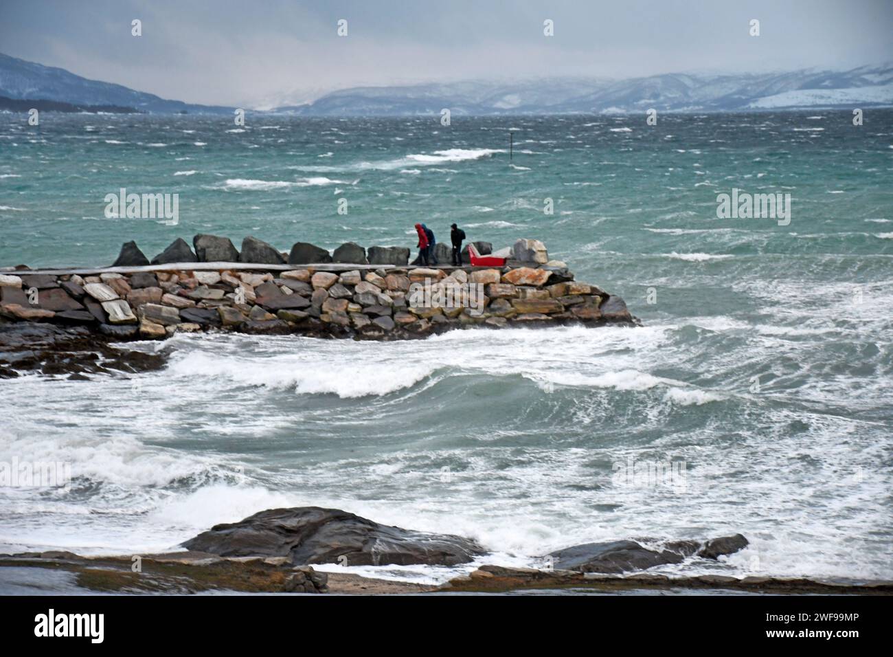 Tromso 20240129.Storm in Tromso. Tourists in Telegrafbukta. Photo: Rune ...
