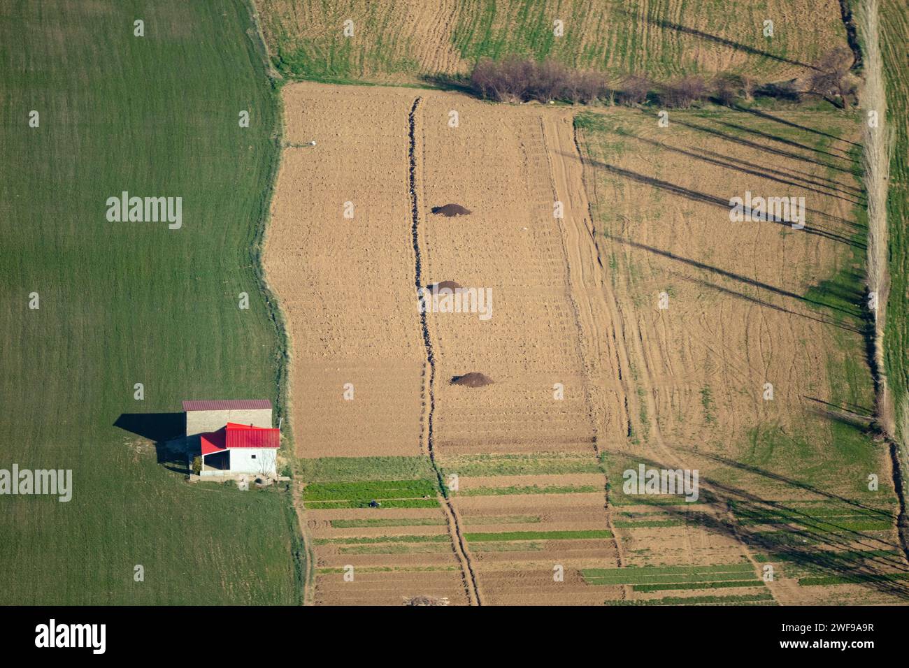 a lone blue cottage with red roof in a small farm from bideye view ...