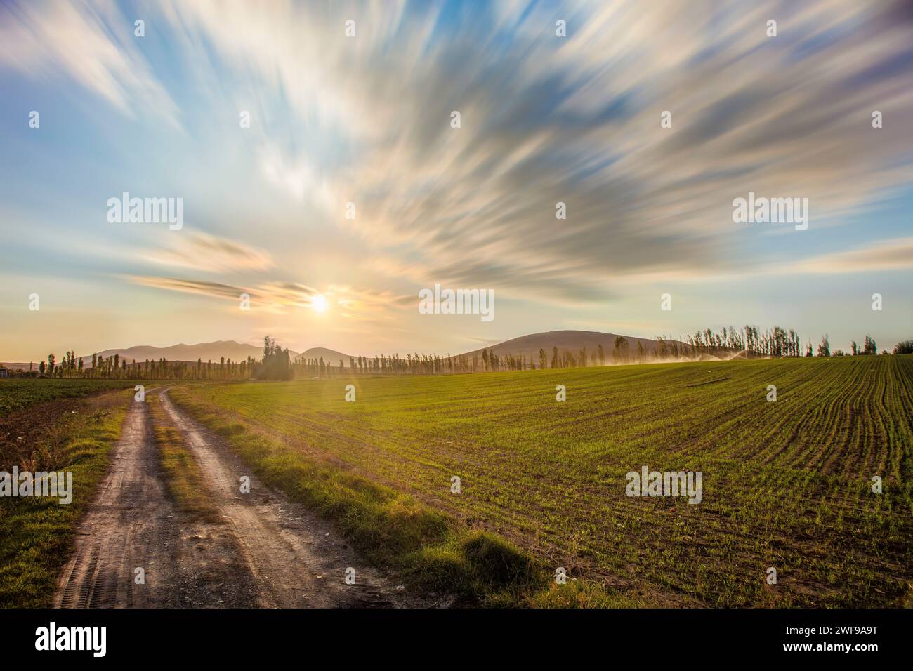 Barley farm hi-res stock photography and images - Alamy