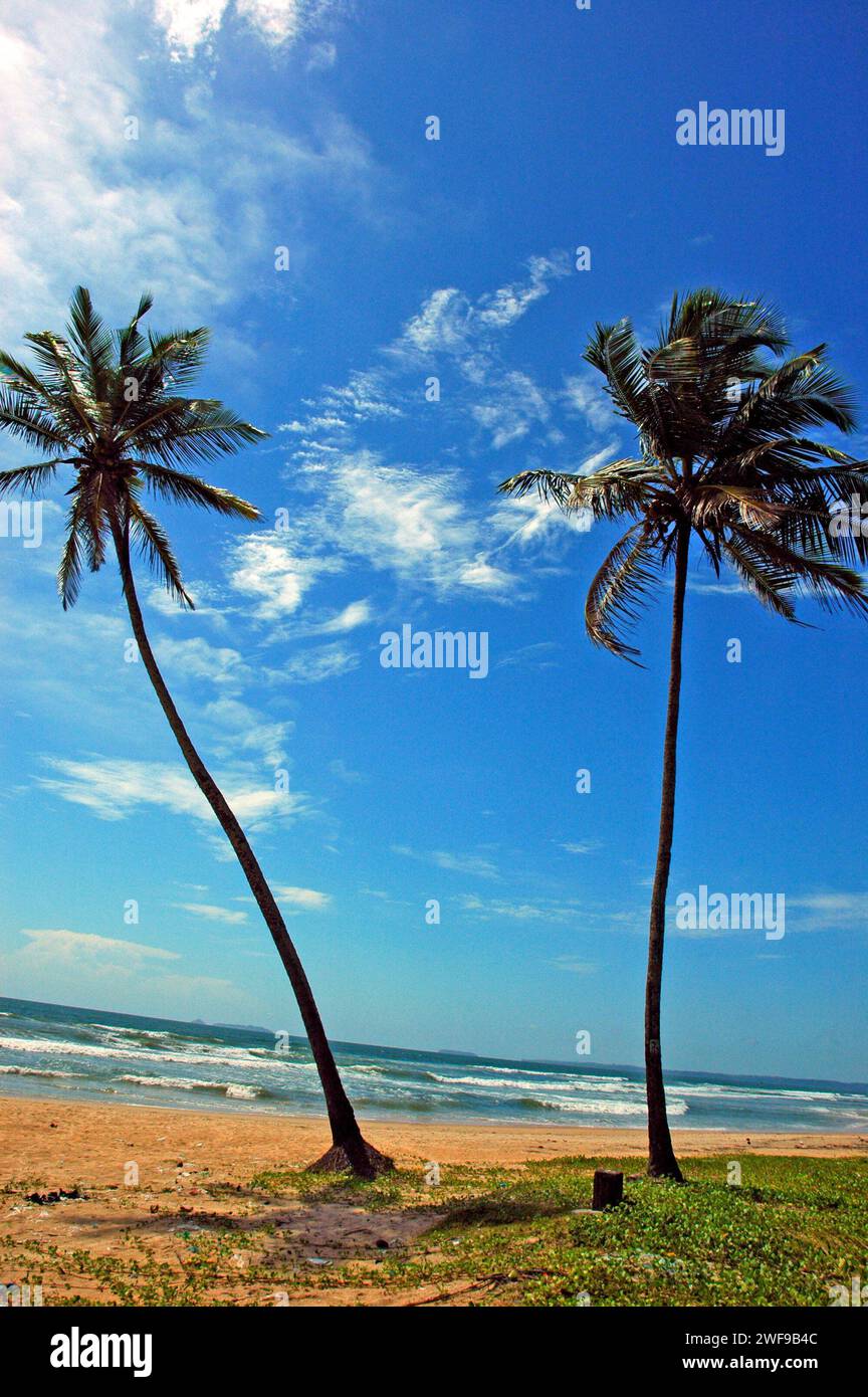 Colva Beach spans about 2.5 km along a sandy coastline of approximately ...