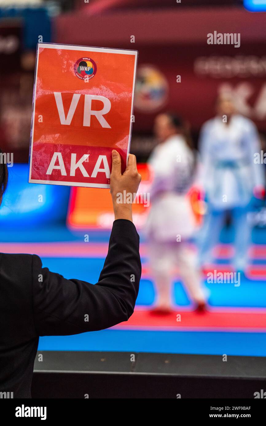 Illustration during the Paris Open Karate 2024, 2024 Karate 1-Premier ... Illustration during the Paris Open Karate 2024, 2024 Karate 1-Premier ...