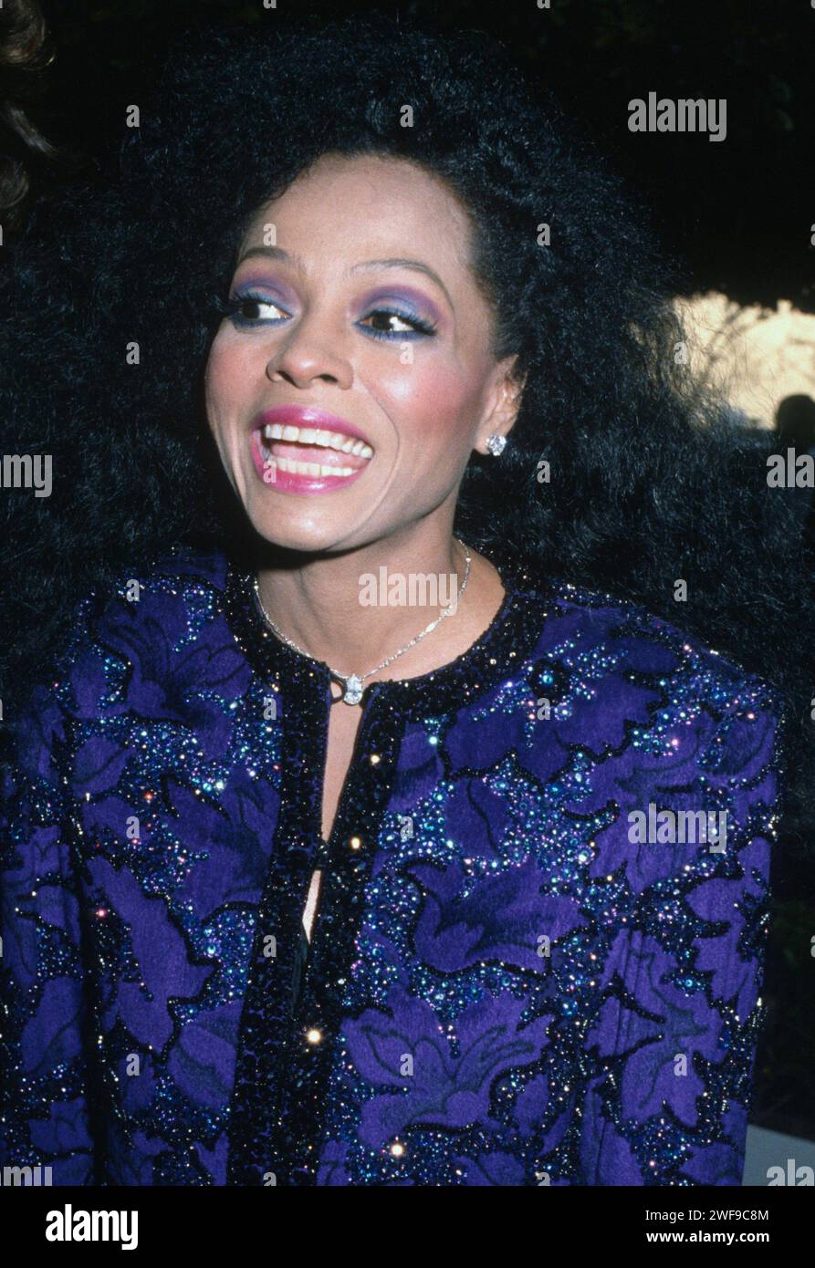 Diana Ross, 1982. ph: John Barrett/PHOTOlink/Courtesy Everett ...