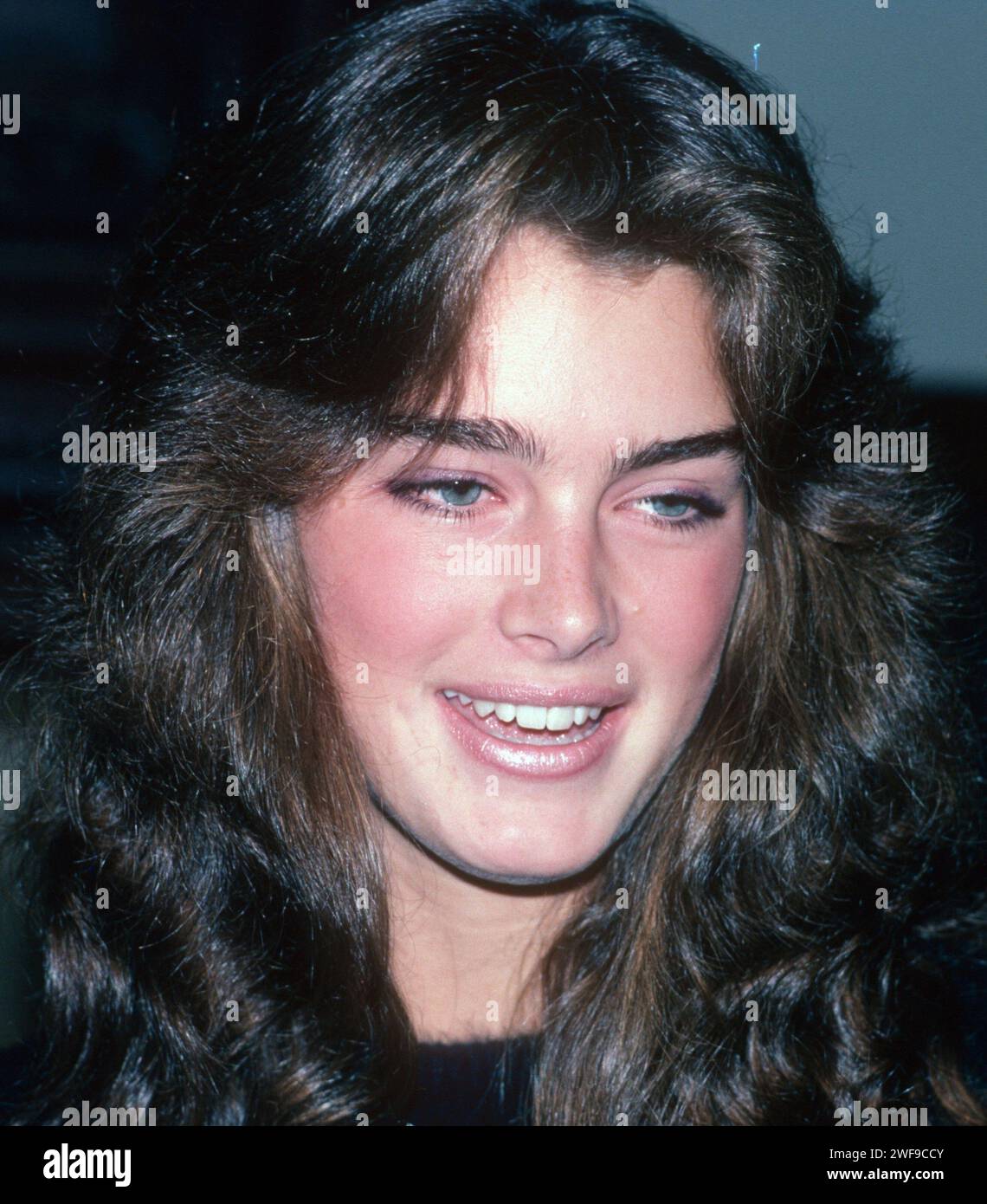 Brooke Shields, 1982. ph: John Barrett/PHOTOlink/Courtesy Everett ...