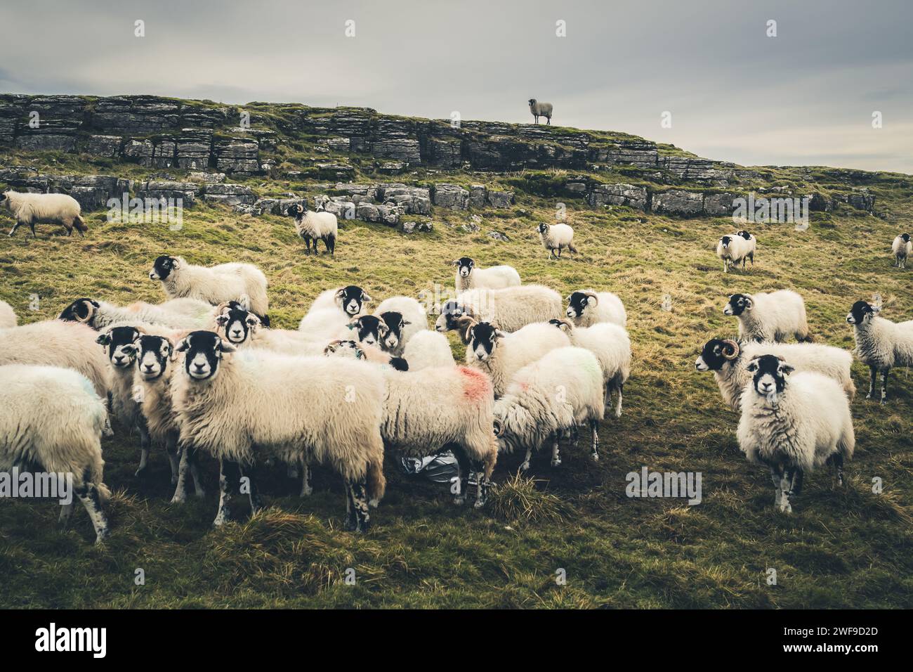 The Settle Loop is a 10 mile circular route that can be started and ...