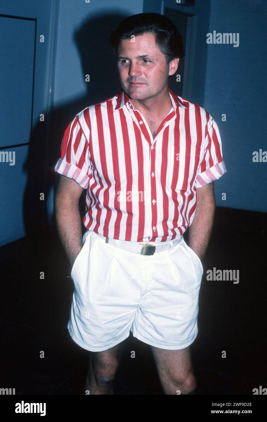 Bruce Johnson of The Beach Boys, 1991. ph: John Barrett/PHOTOlink ...