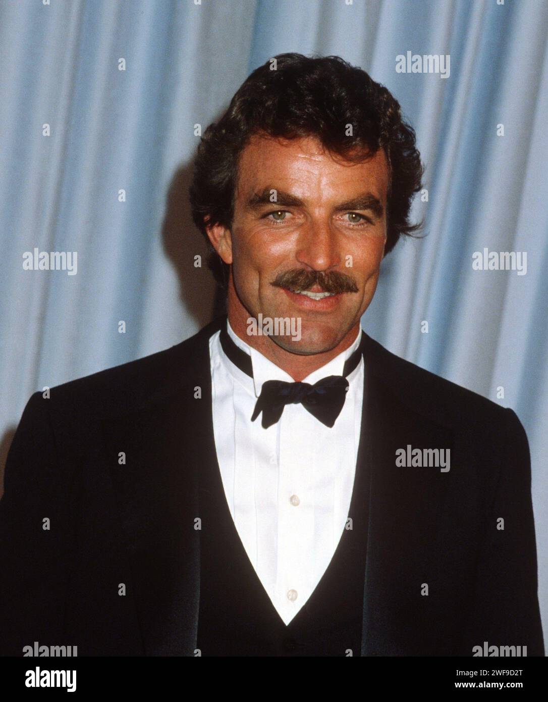 Tom Selleck, 1984. ph: John Barrett/PHOTOlink/Courtesy Everett ...