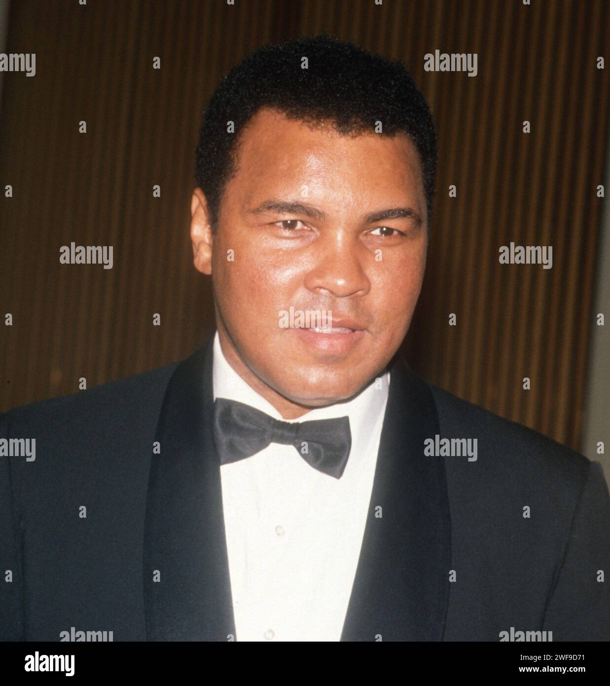 Muhammed Ali, 1990. ph: John Barrett/PHOTOlink/Courtesy Everett ...