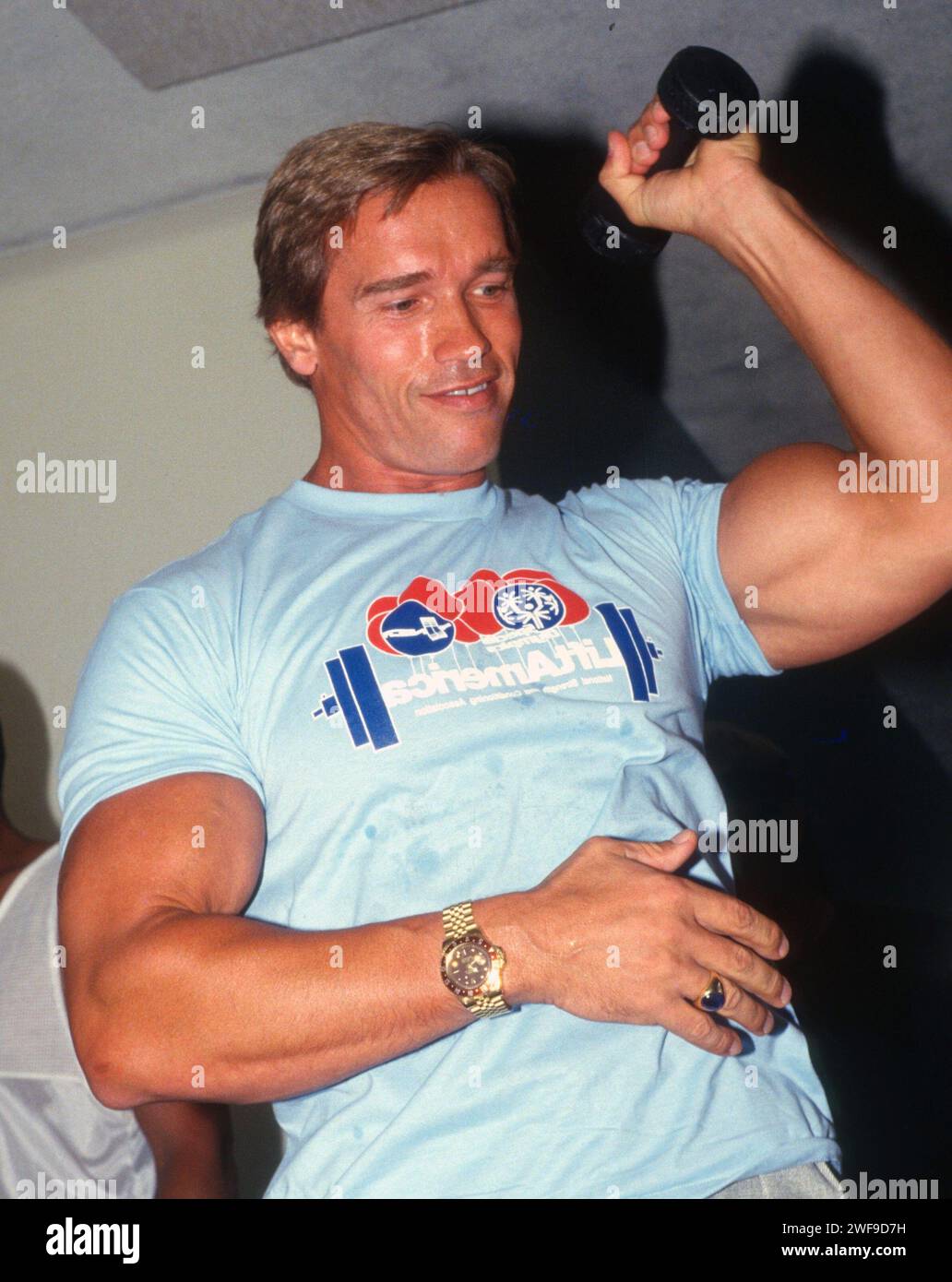 Arnold Schwarzenegger, 1985. ph: John Barrett/PHOTOlink/Courtesy ...