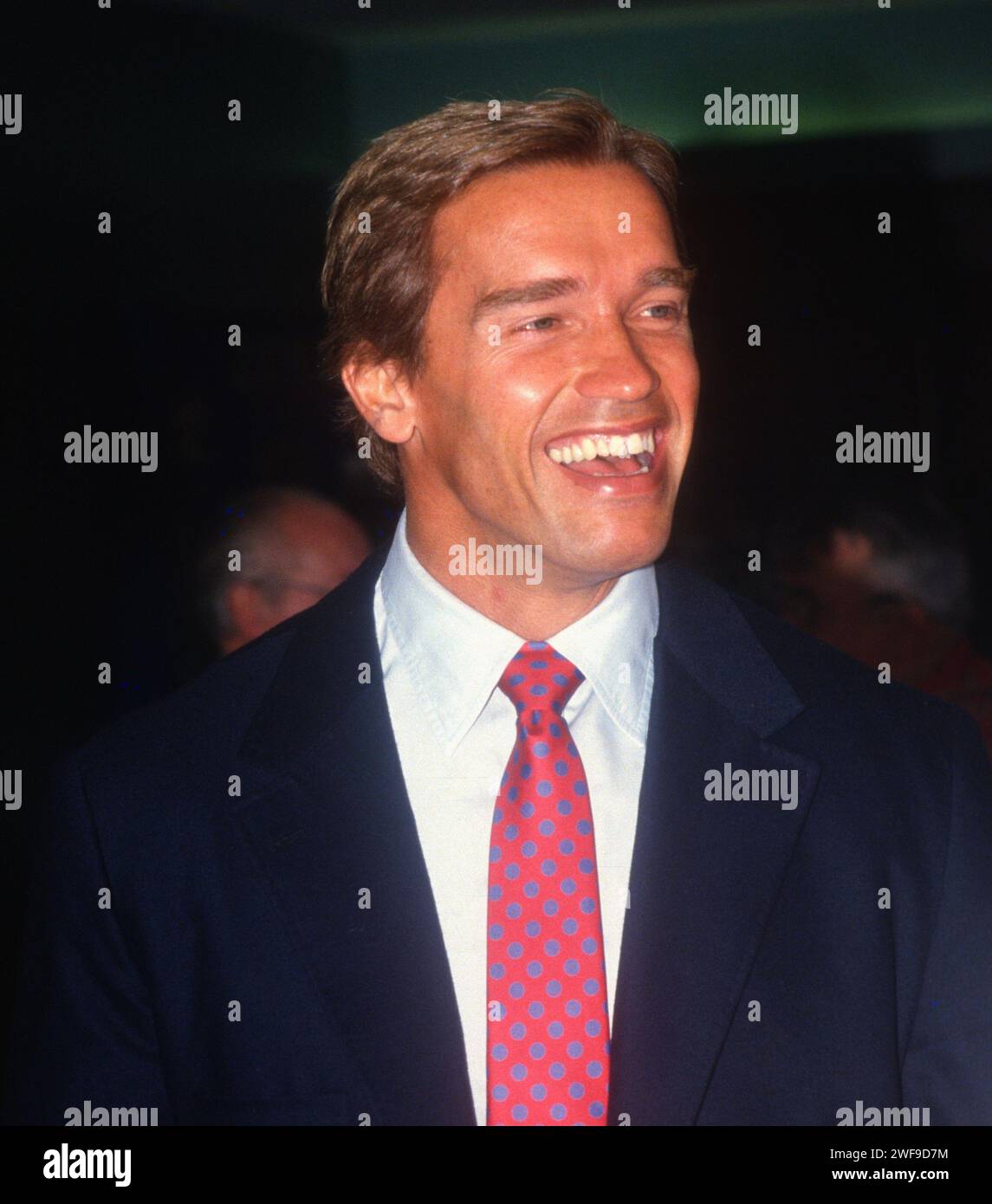 Arnold Schwarzenegger, 1985. ph: John Barrett/PHOTOlink/Courtesy ...