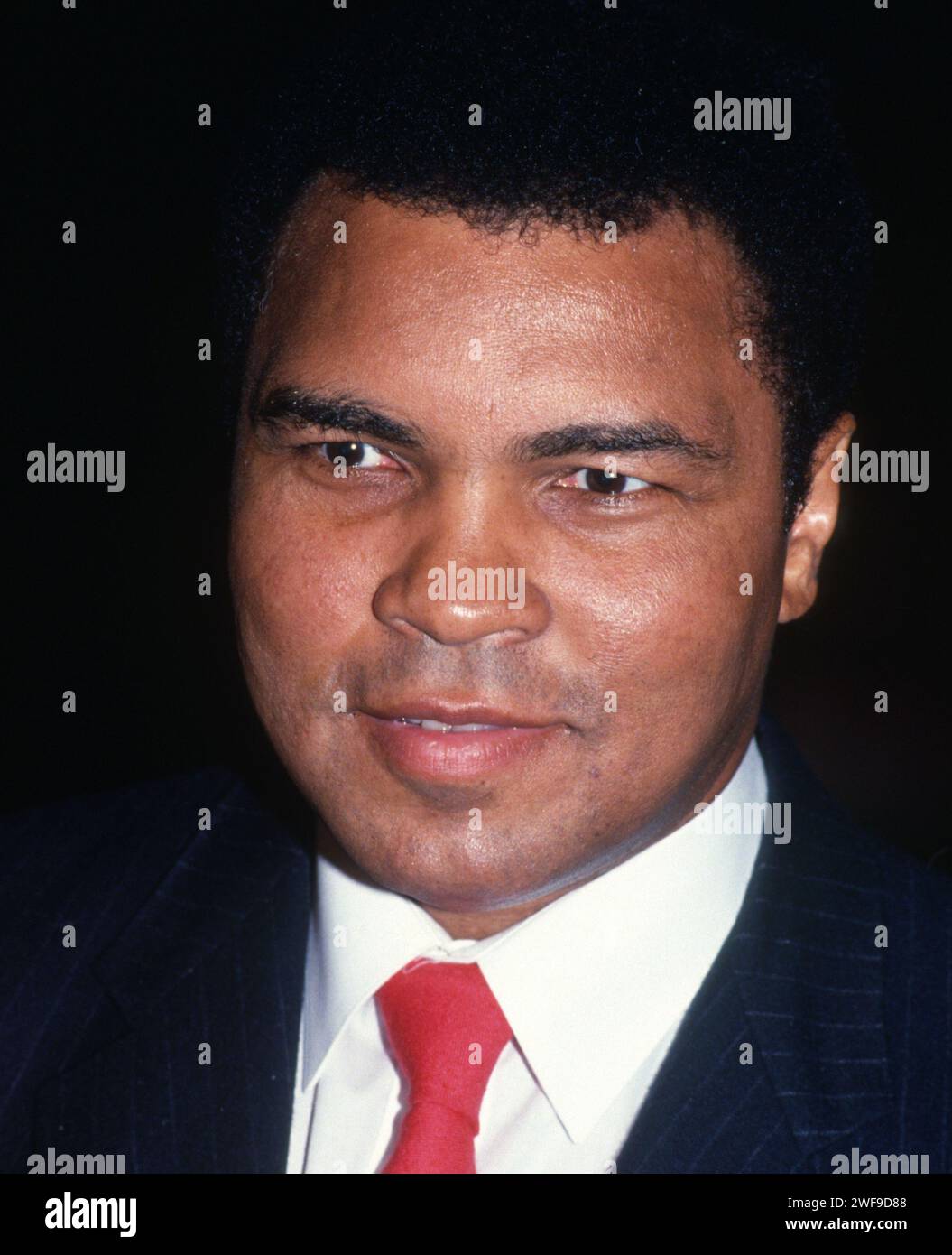 Muhammed Ali, 1990. ph: John Barrett/PHOTOlink/Courtesy Everett ...