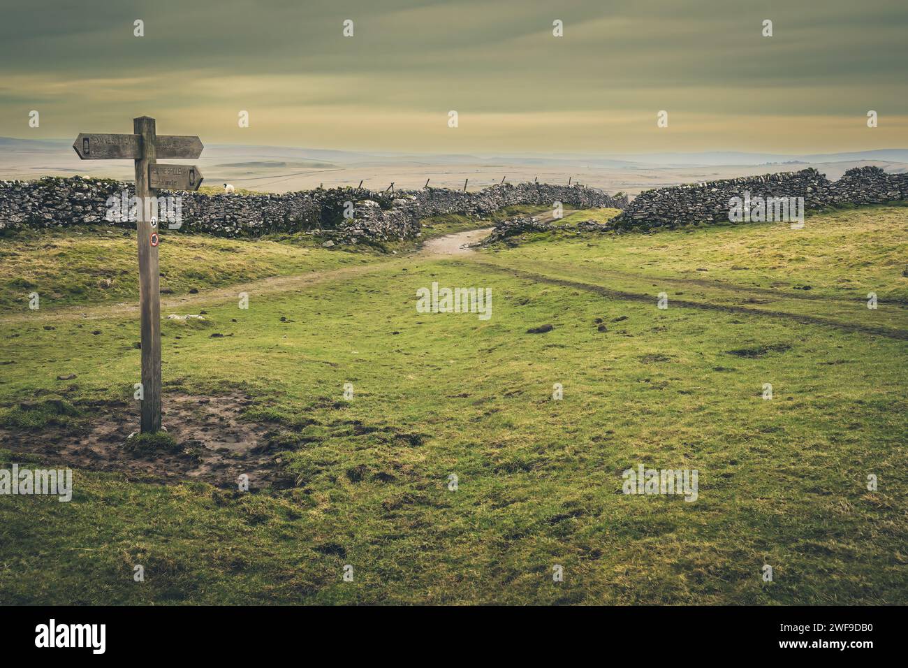 Ribble way route hi-res stock photography and images - Alamy