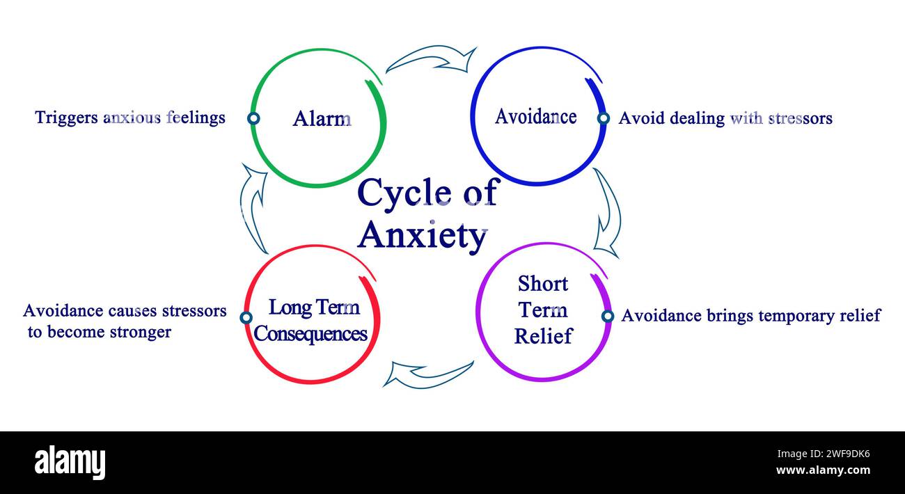 Components of Cycle of Anxiety Stock Photo - Alamy Components of Cycle of Anxiety Stock Photo - Alamy