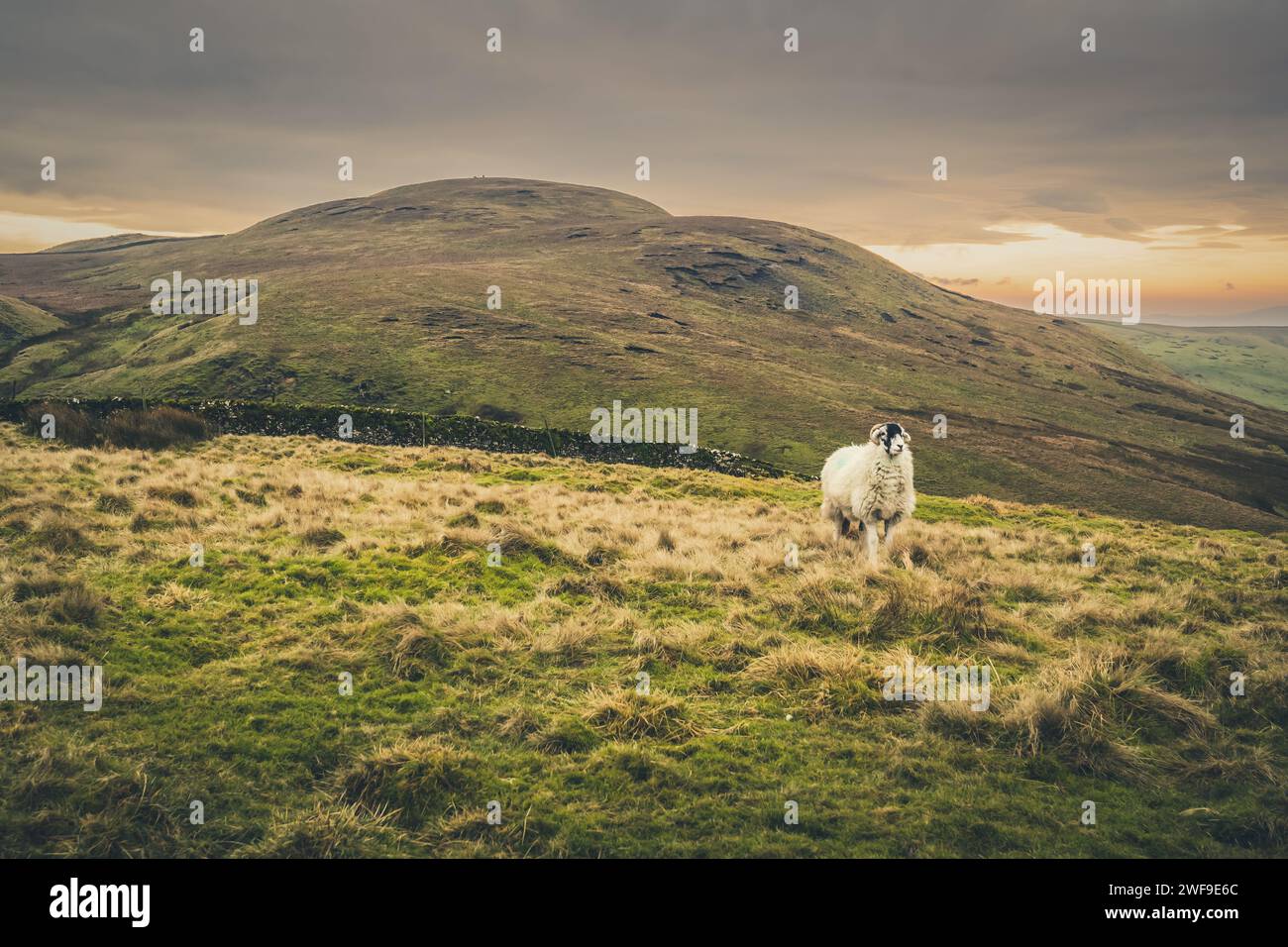 The Settle Loop is a 10 mile circular route that can be started and ...