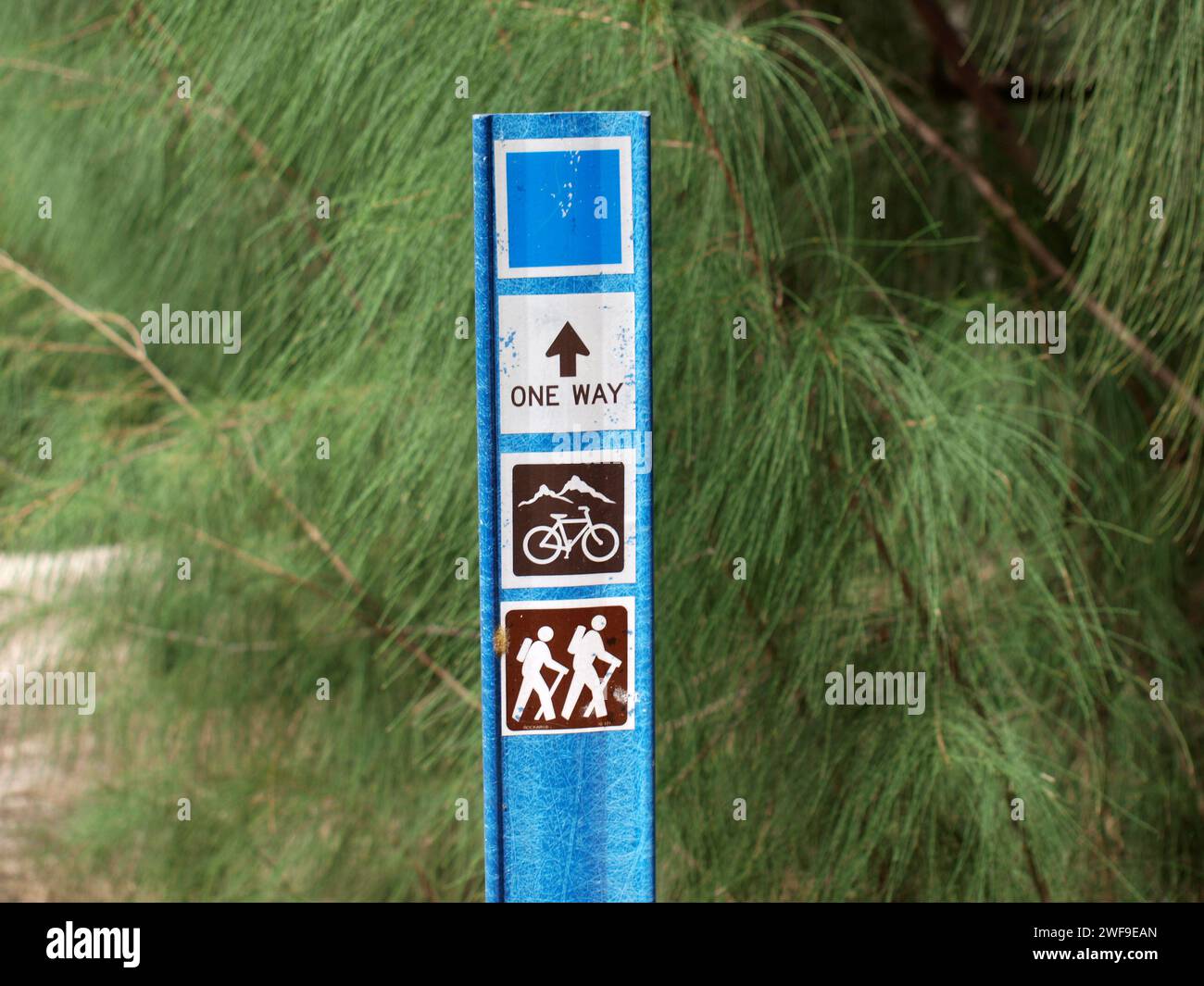Color coded post signaling trail open for mountain bikers and hikers ...