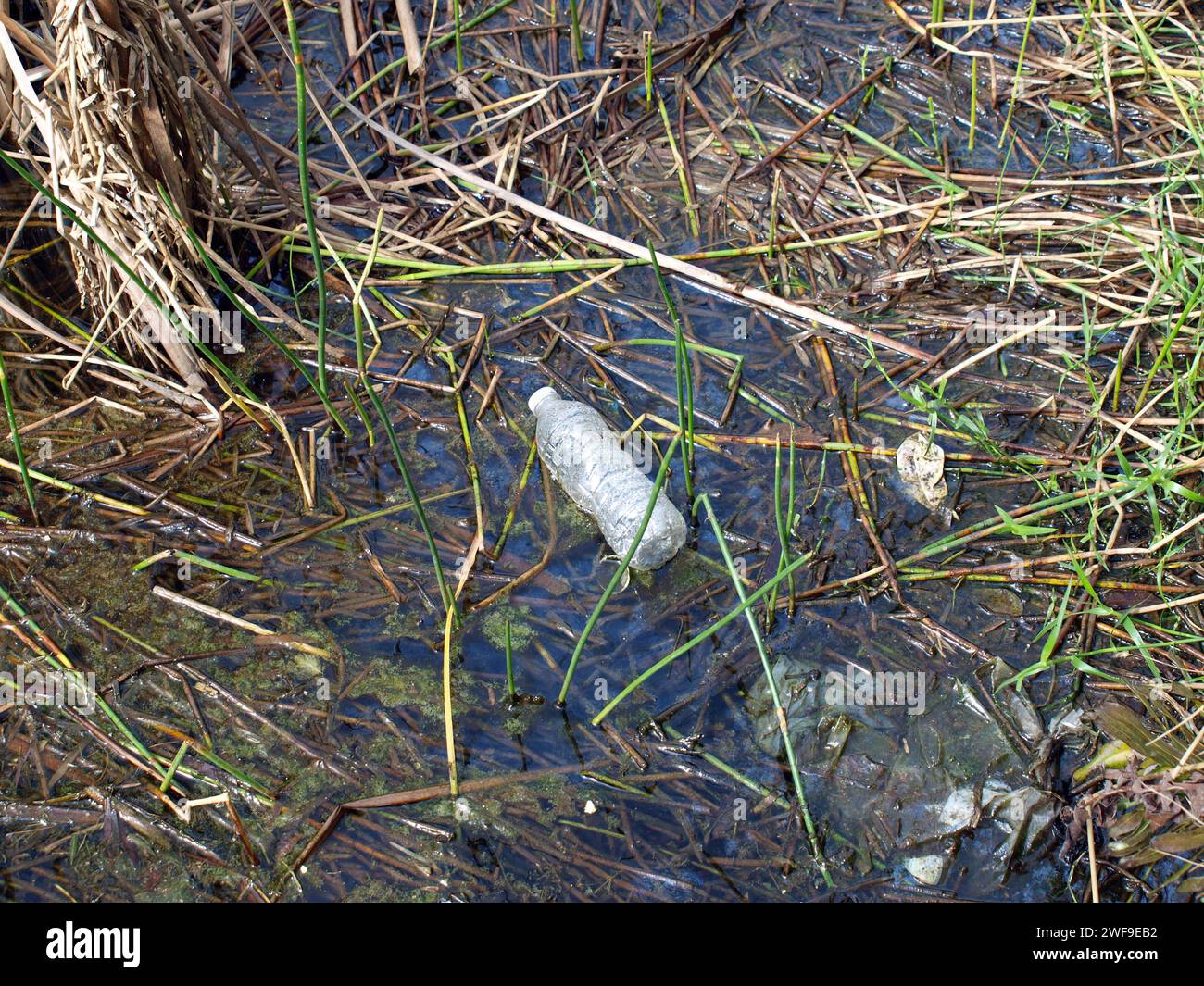 Unlawful plastic bottle hi-res stock photography and images - Alamy