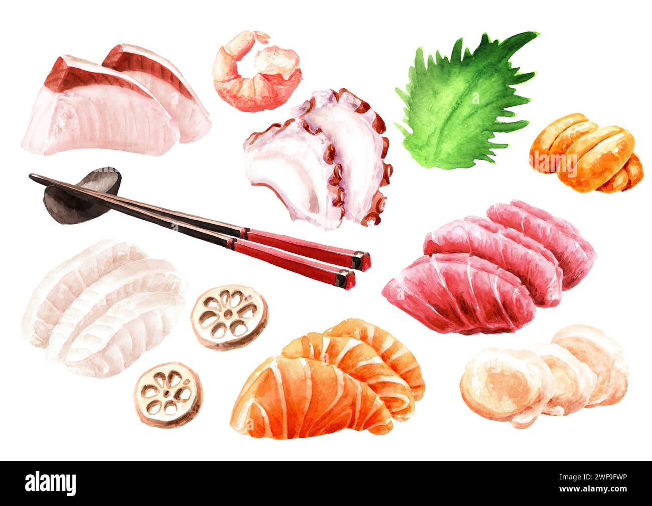 Japanese Sashimi elements set. Hand drawn watercolor illustration ...