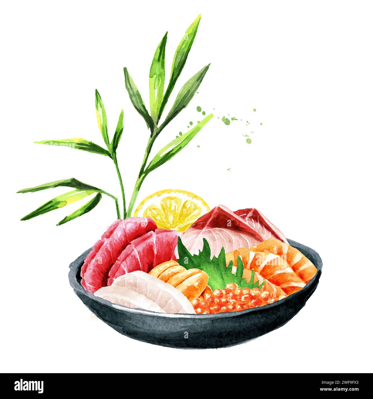 Japanese Sashimi set . Hand drawn watercolor illustration, isolated on ...