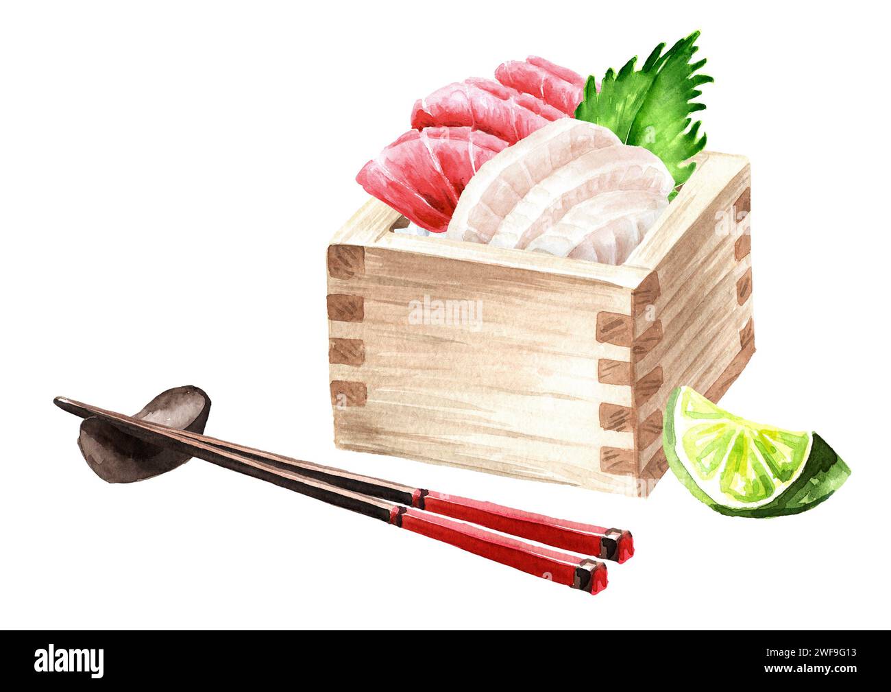 Japanese Sashimi set In A Wooden Box Masu. Hand drawn watercolor ...