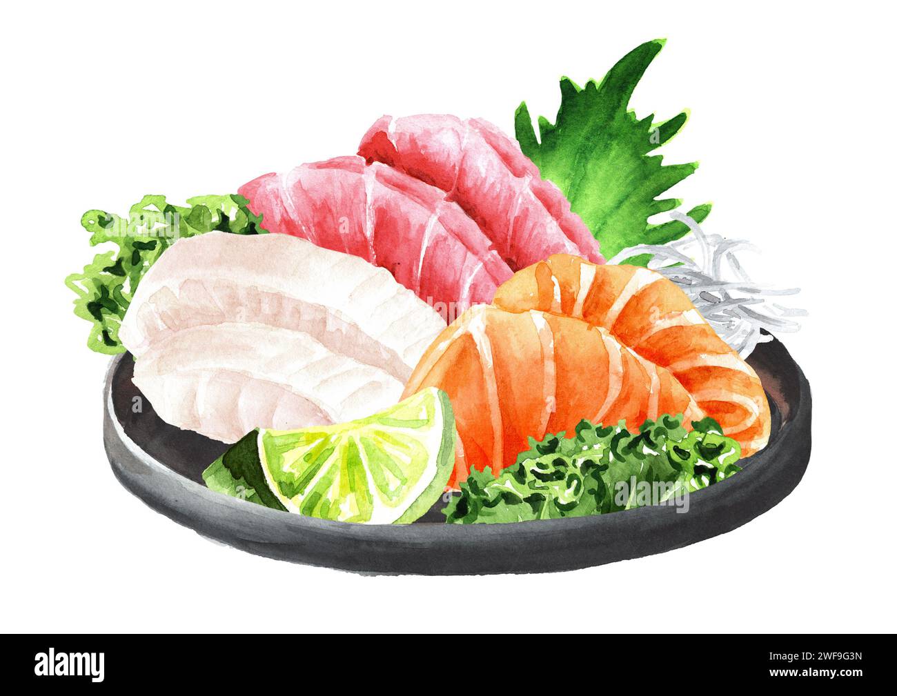 Japanese Sashimi set. Hand drawn watercolor illustration, isolated on ...
