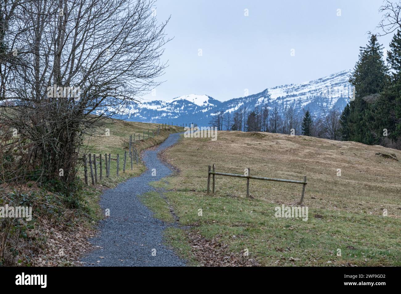 A path /trail leading through Zugerberg toward the Alps mountains in ...