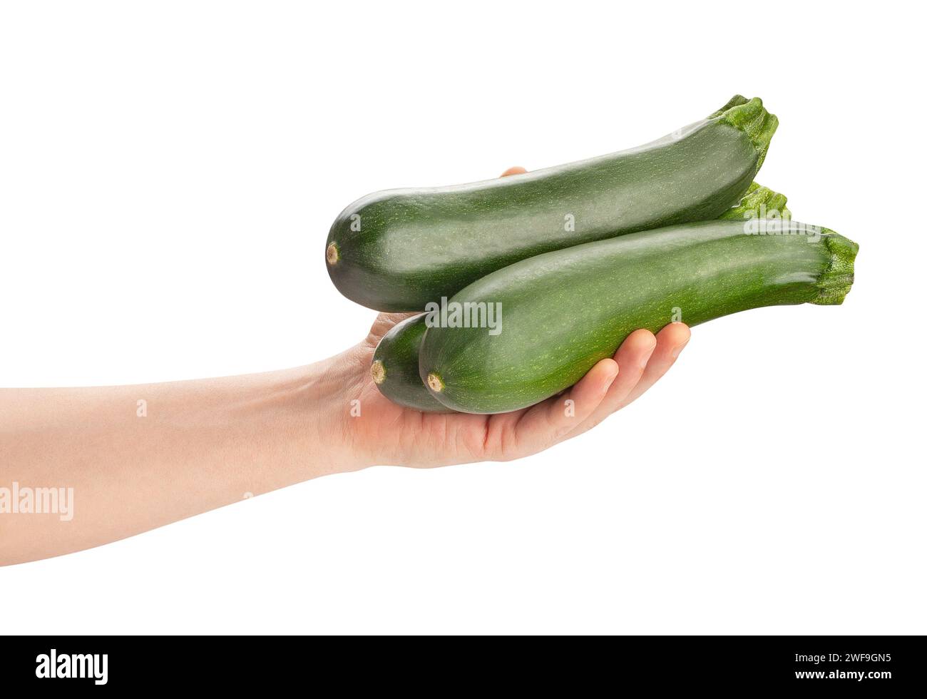 zucchini in hand path isolated on white Stock Photo - Alamy