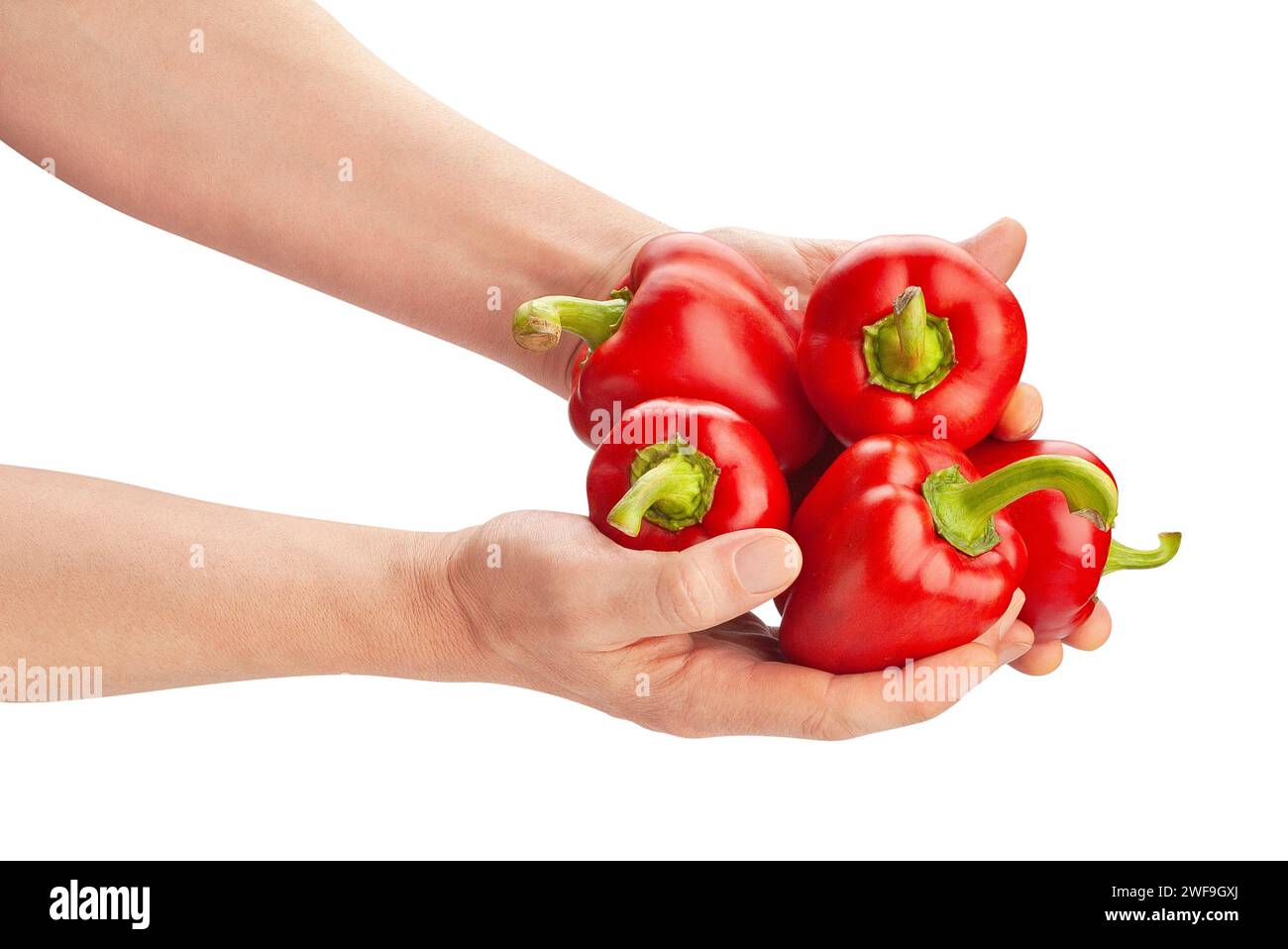 bell pepper in hand path isolated on white Stock Photo - Alamy